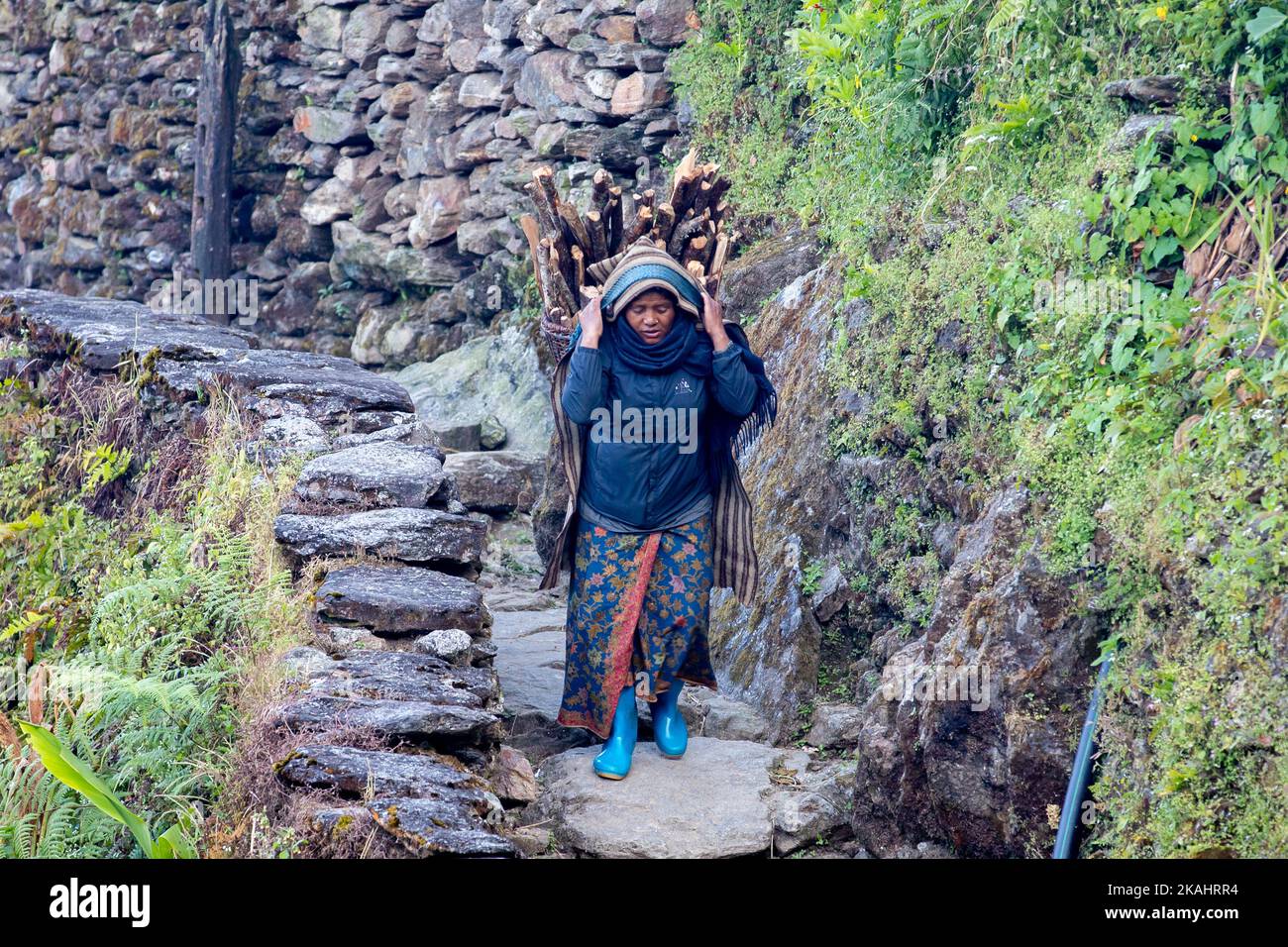 Beautiful Ghale Gau and Bhujung village of Nepal Stock Photo - Alamy