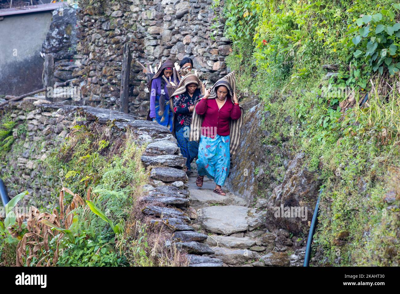 Beautiful Ghale Gau and Bhujung village of Nepal Stock Photo - Alamy