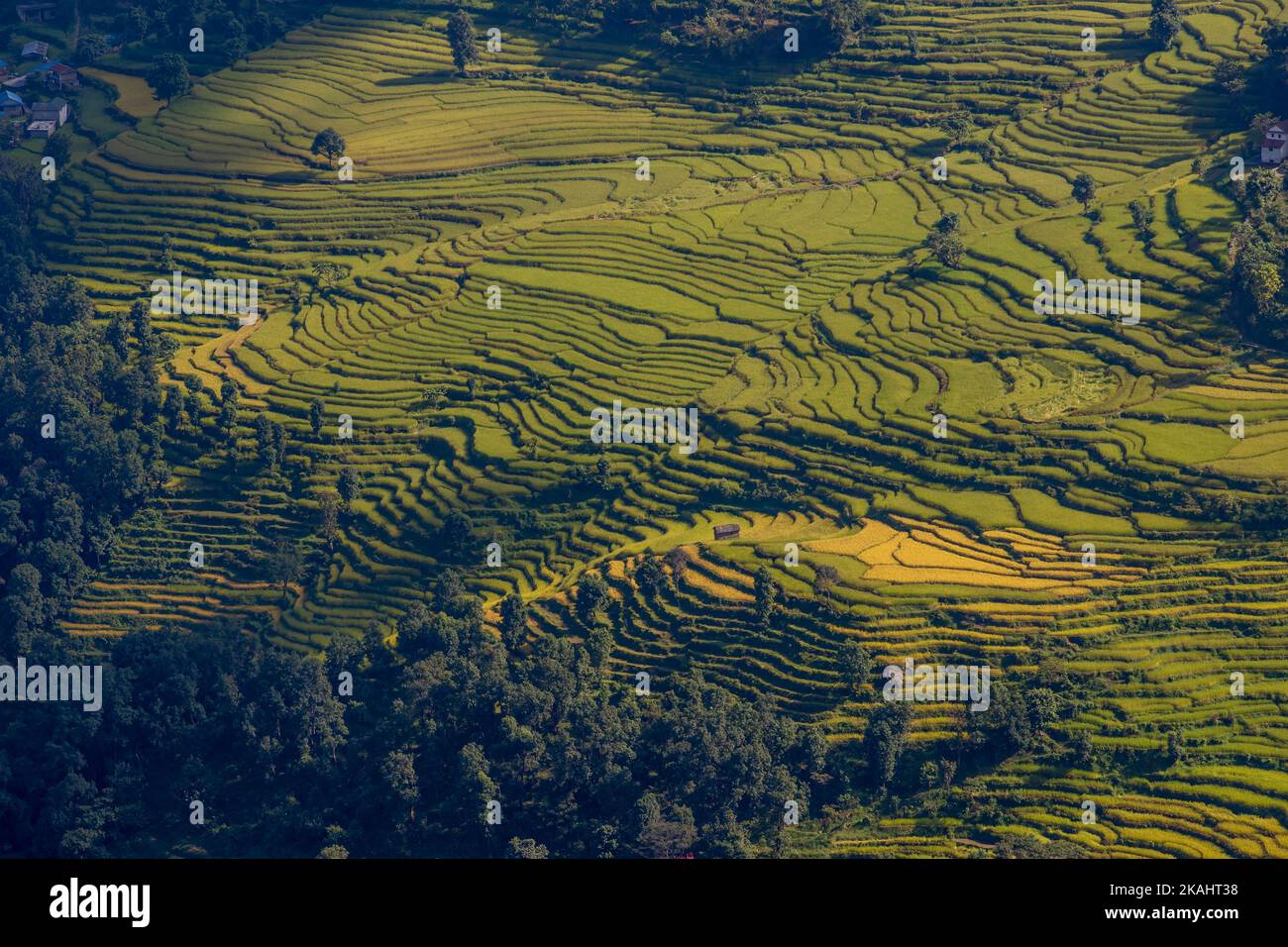 Beautiful Ghale Gau and Bhujung village of Nepal Stock Photo - Alamy