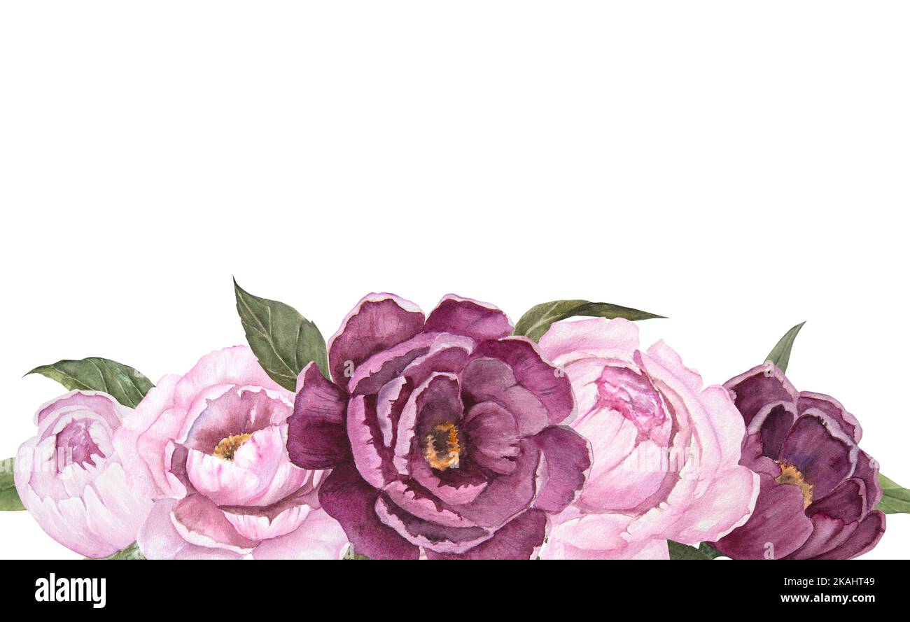 Flower watercolor illustration of peonies isolated, bouquet of flowers ...