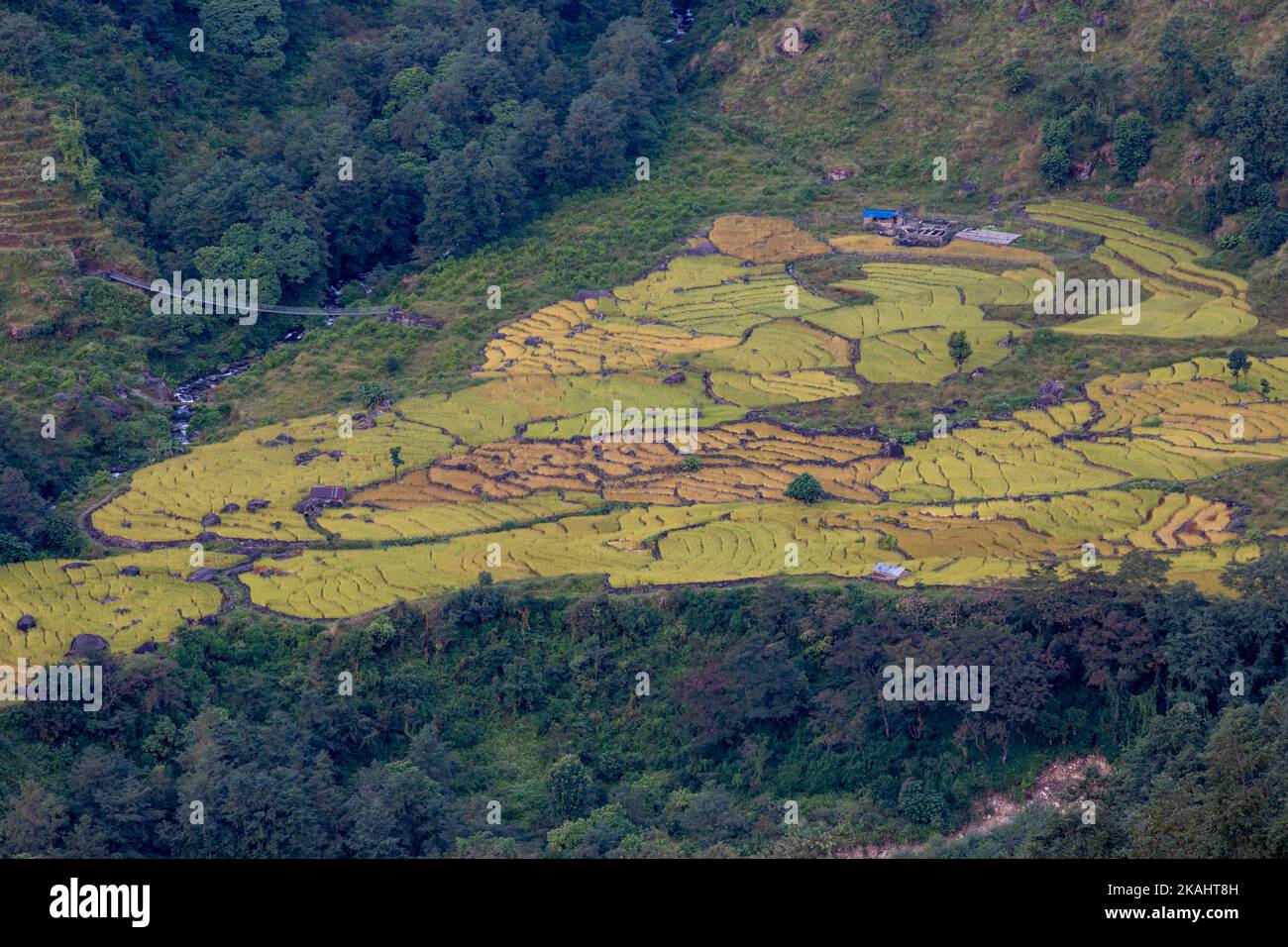 Beautiful Ghale Gau and Bhujung village of Nepal Stock Photo - Alamy