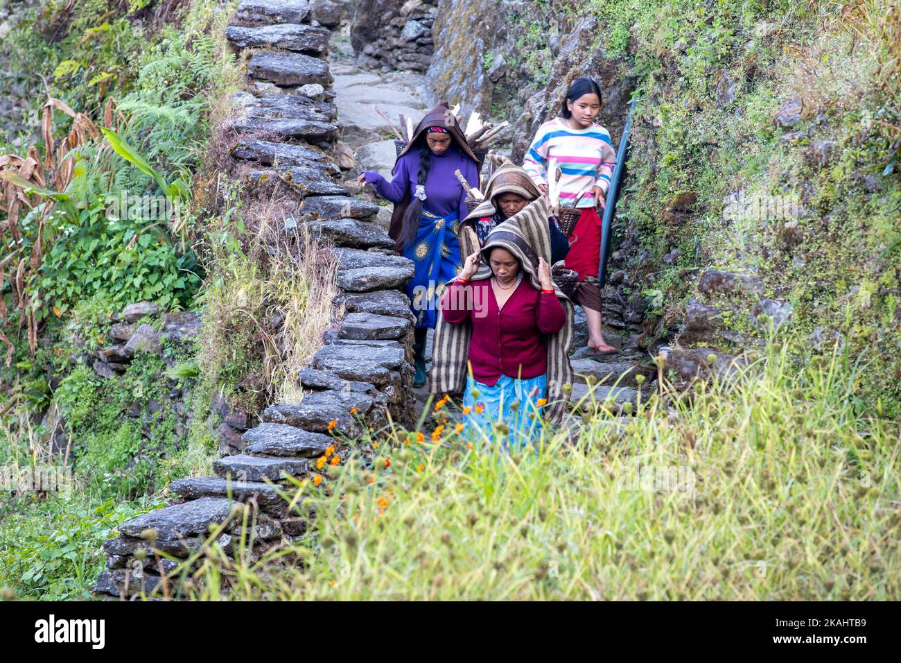 Beautiful Ghale Gau and Bhujung village of Nepal Stock Photo - Alamy