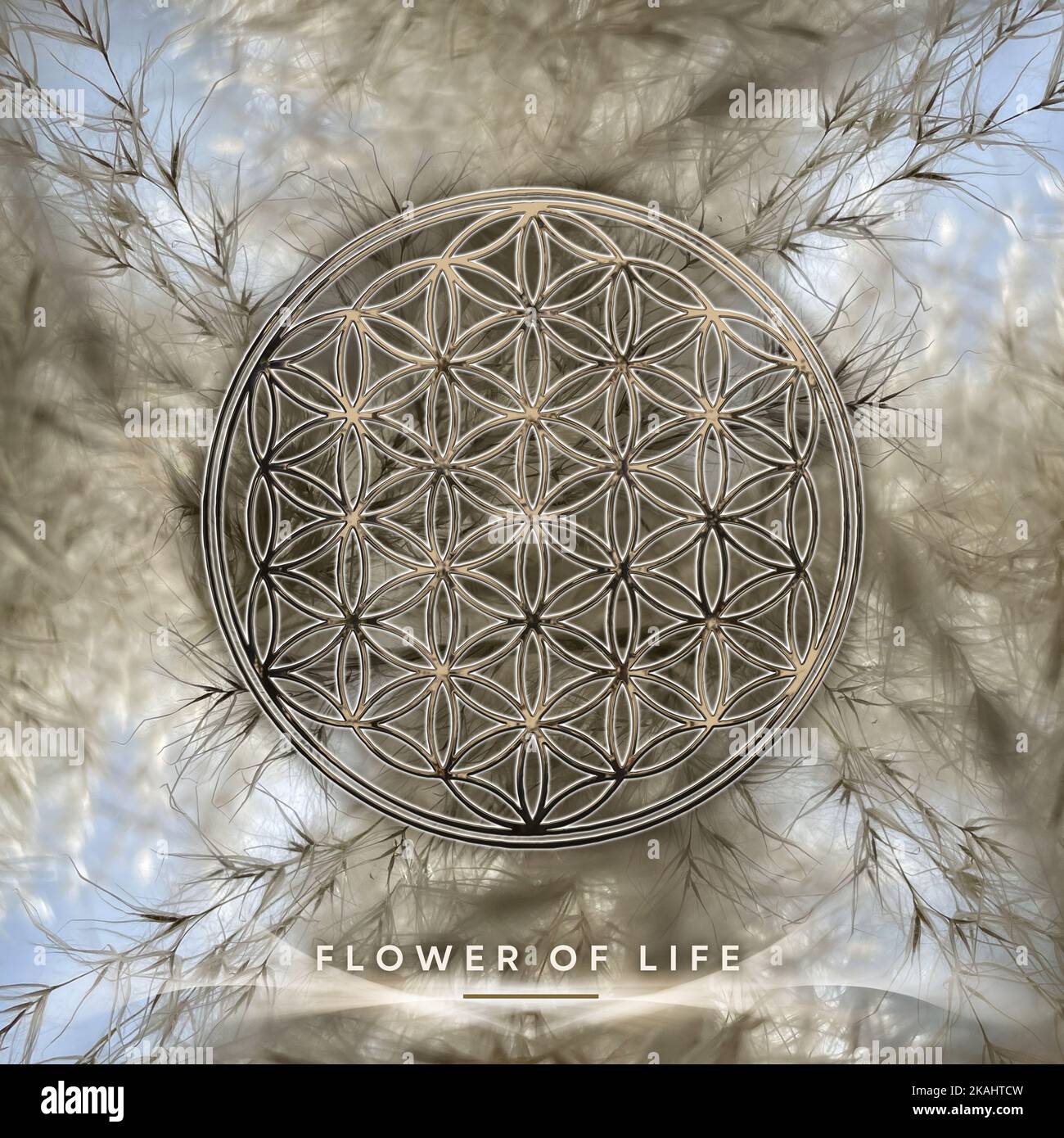 Golden Flower Of Life on beautiful autumn grass background Stock Photo ...
