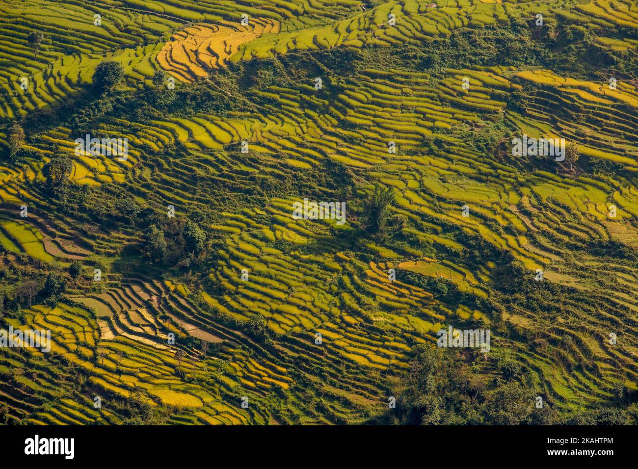 Beautiful Ghale Gau and Bhujung village of Nepal Stock Photo - Alamy