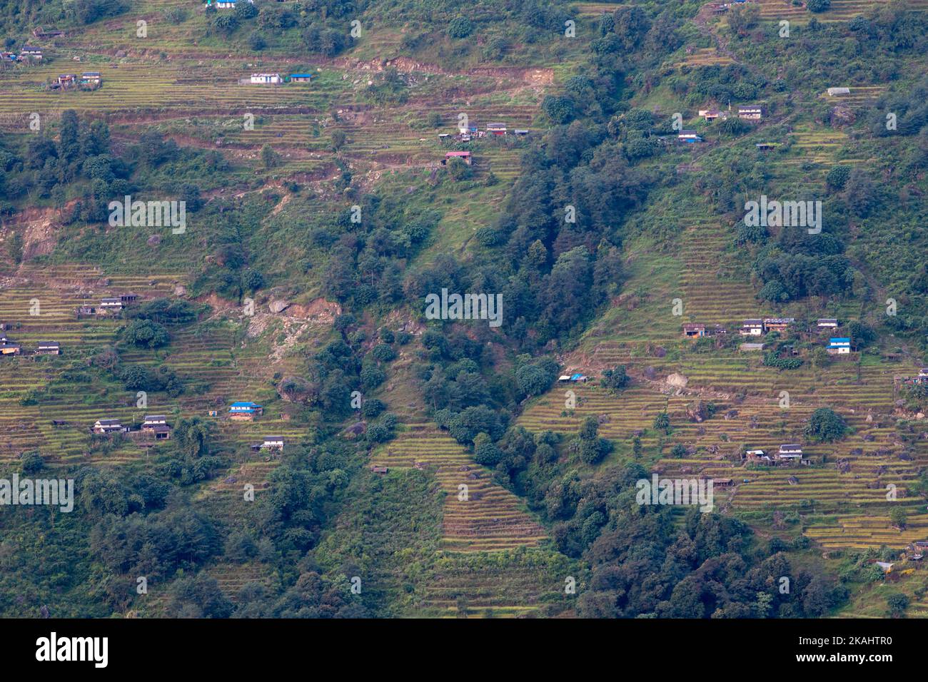 Beautiful Ghale Gau and Bhujung village of Nepal Stock Photo - Alamy