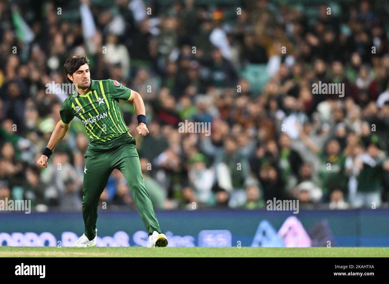 Sydney, Australia. 03rd Nov, 2022. Mohammad Wasim of Pakistani ...