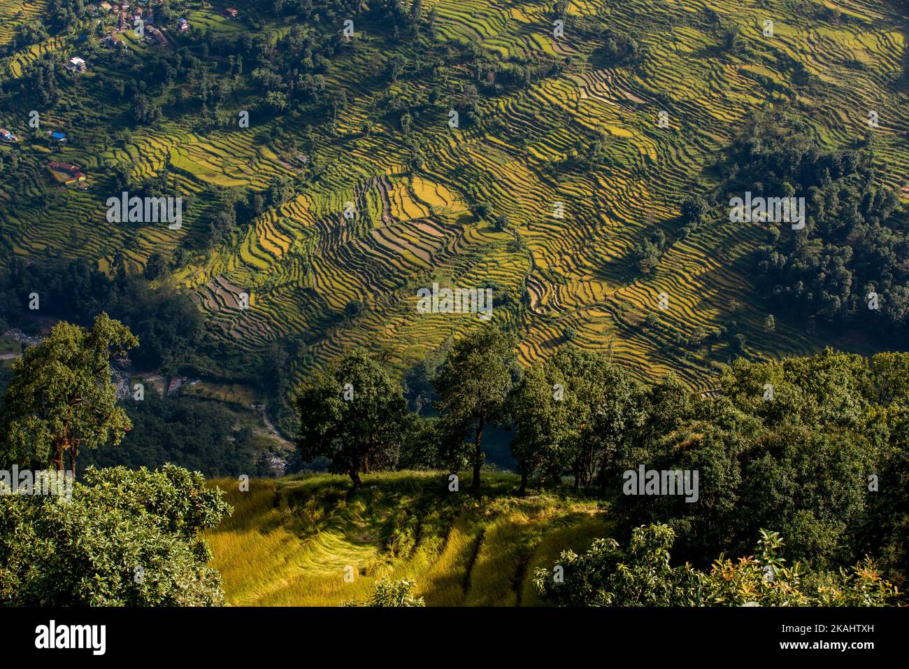 Beautiful Ghale Gau and Bhujung village of Nepal Stock Photo - Alamy