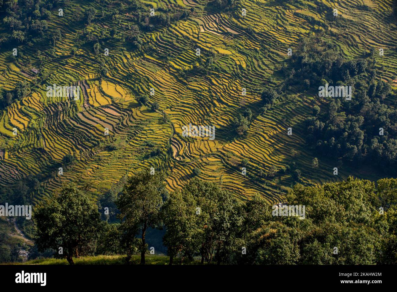 Beautiful Ghale Gau and Bhujung village of Nepal Stock Photo - Alamy