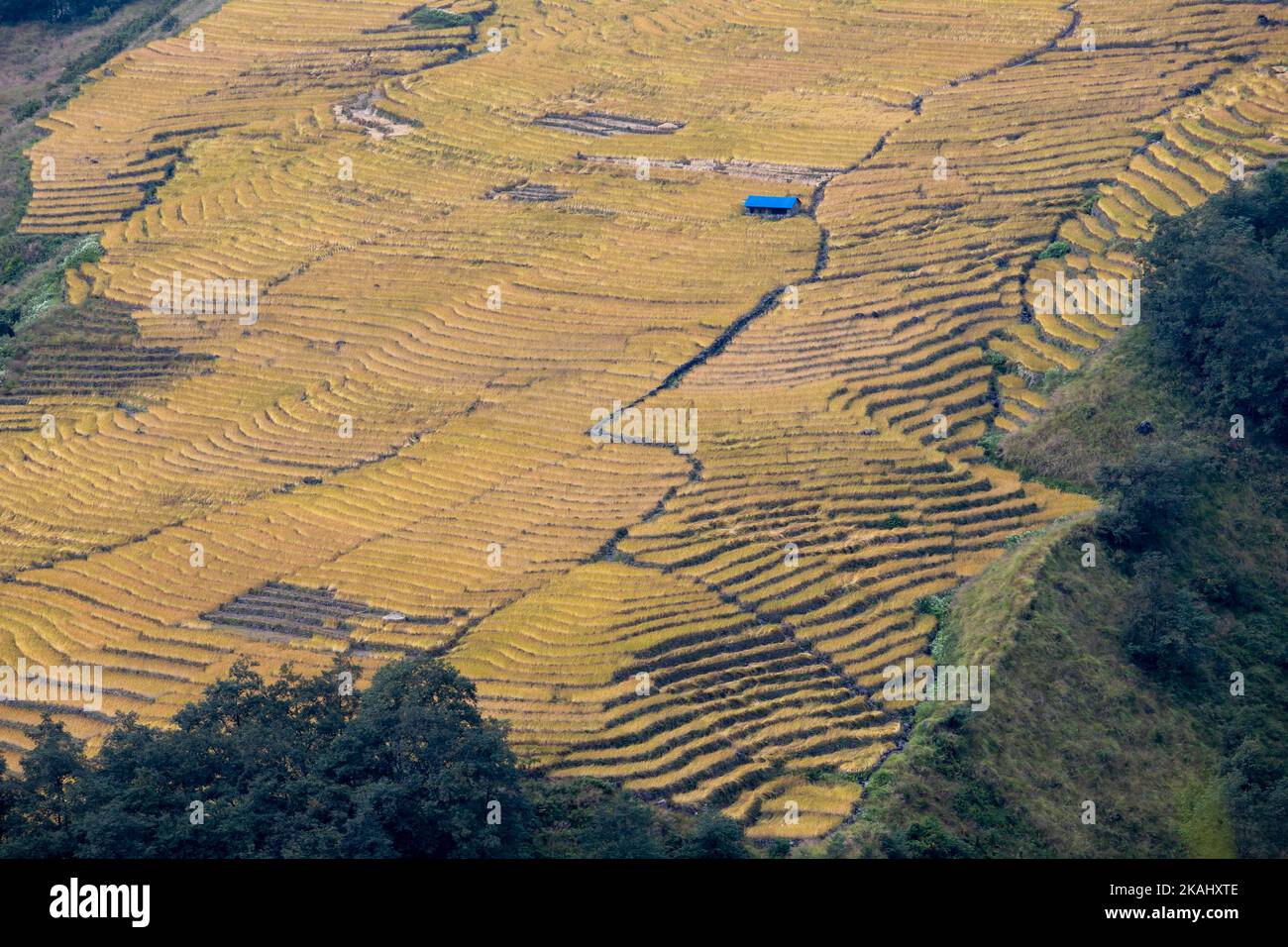 Beautiful Ghale Gau and Bhujung village of Nepal Stock Photo - Alamy