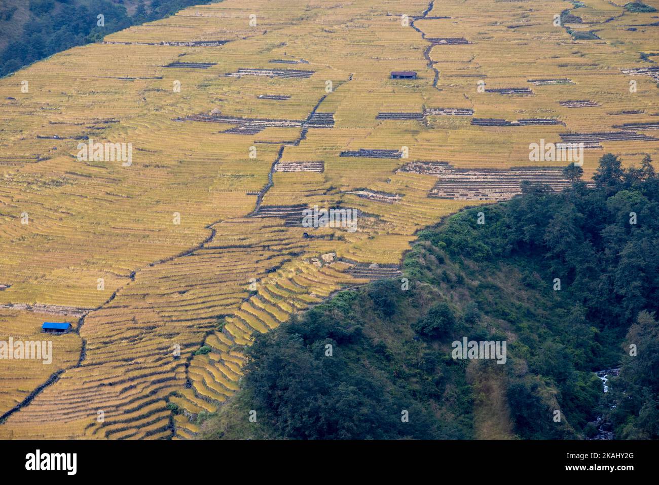 Beautiful Ghale Gau and Bhujung village of Nepal Stock Photo - Alamy