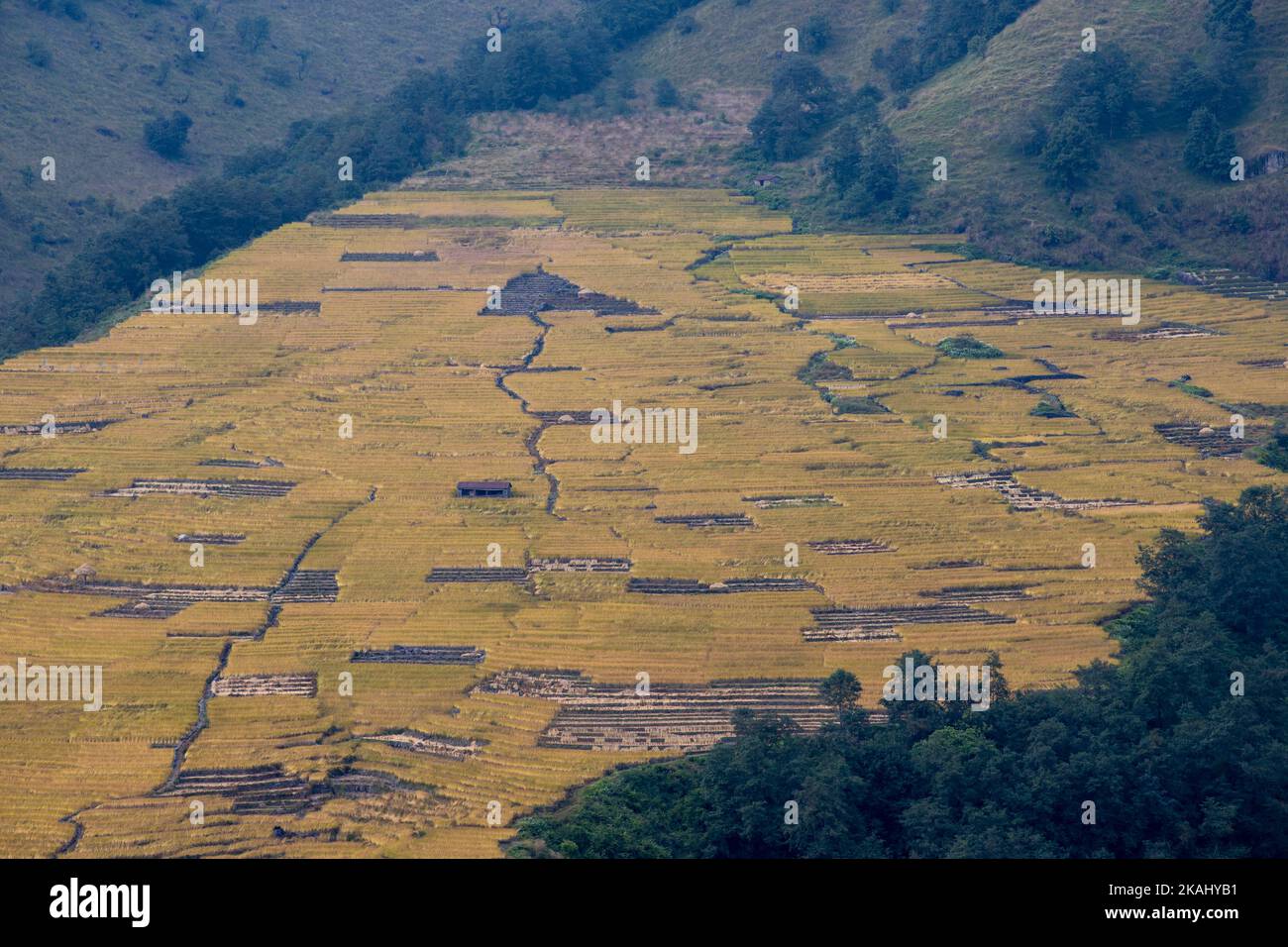 Beautiful Ghale Gau and Bhujung village of Nepal Stock Photo - Alamy