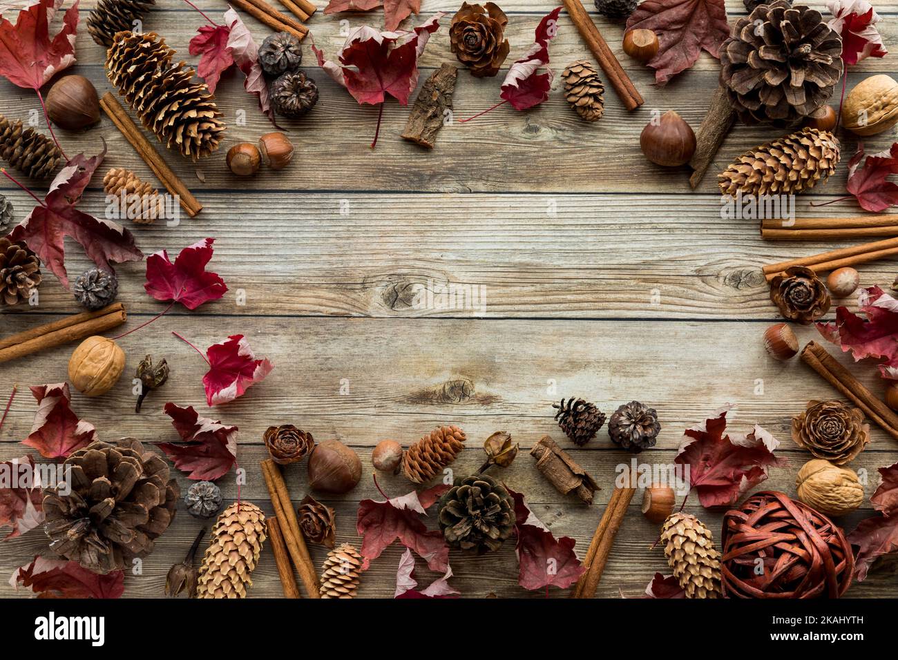 An autumn border frame of a variety of dry items such as leaves and ...