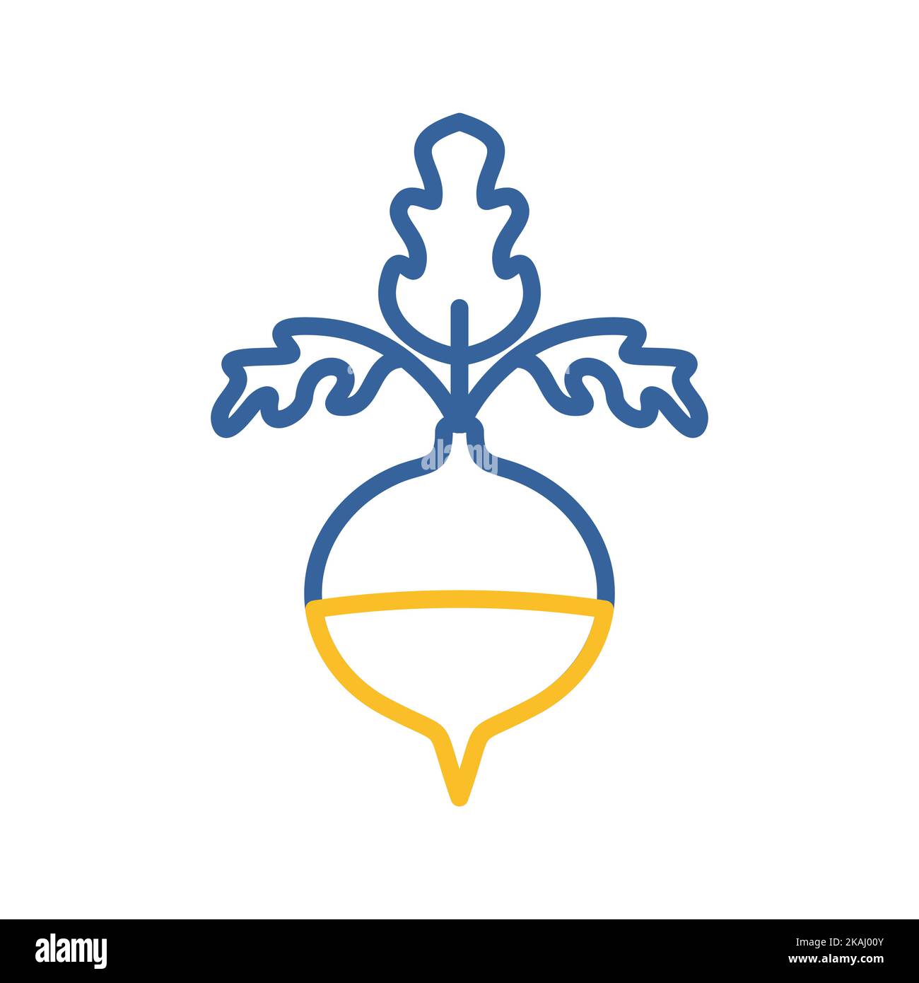 Swedish turnip Stock Vector Images - Alamy