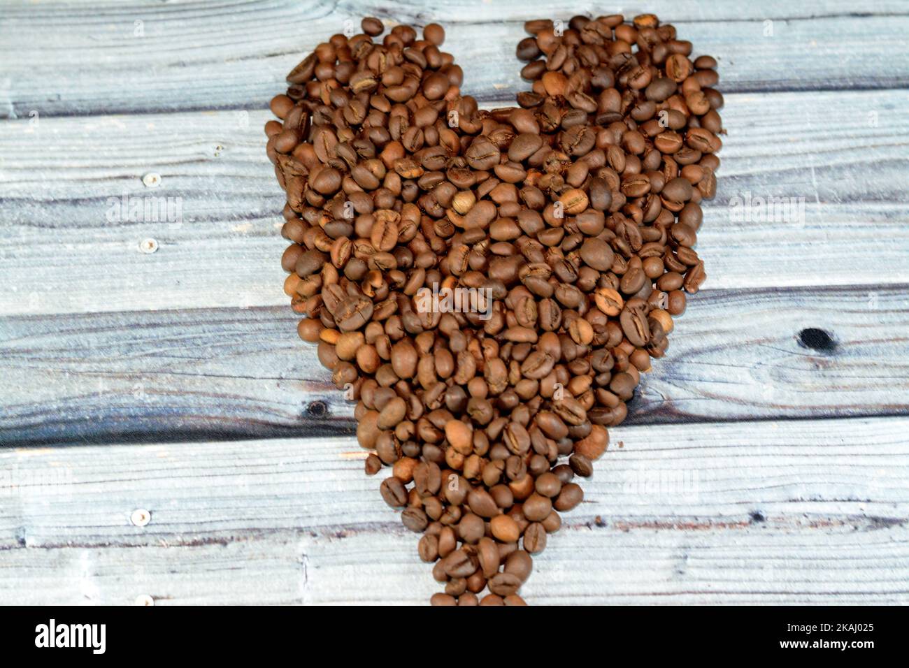 coffee beans, seeds of the Coffea plant and the source for coffee ...