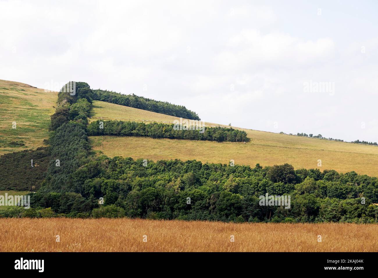 Yeavering northumberland hi-res stock photography and images - Alamy
