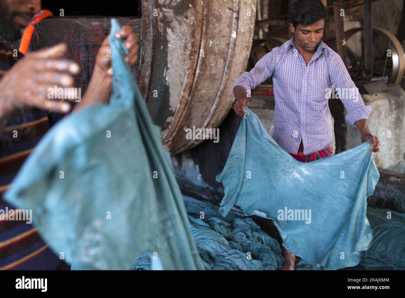 Indian cow disease hi-res stock photography and images - Alamy