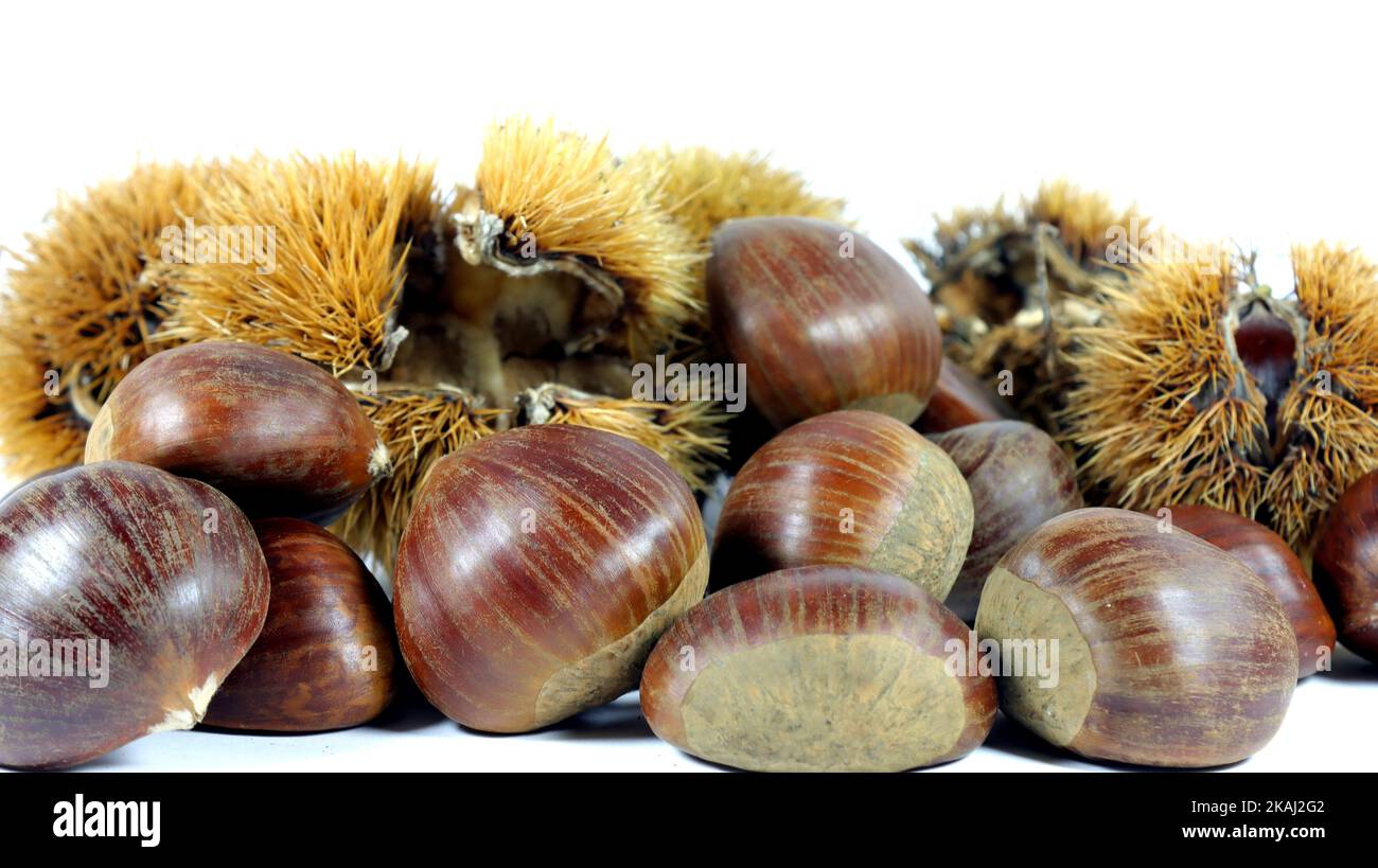 close up of chestnuts with their shells on white background Stock Photo ...