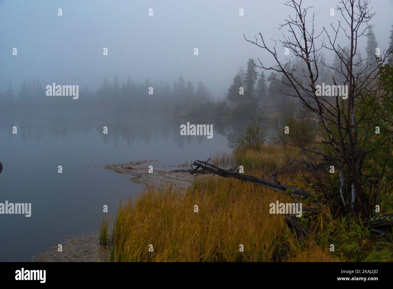 The dense fog over the lake Stock Photo - Alamy