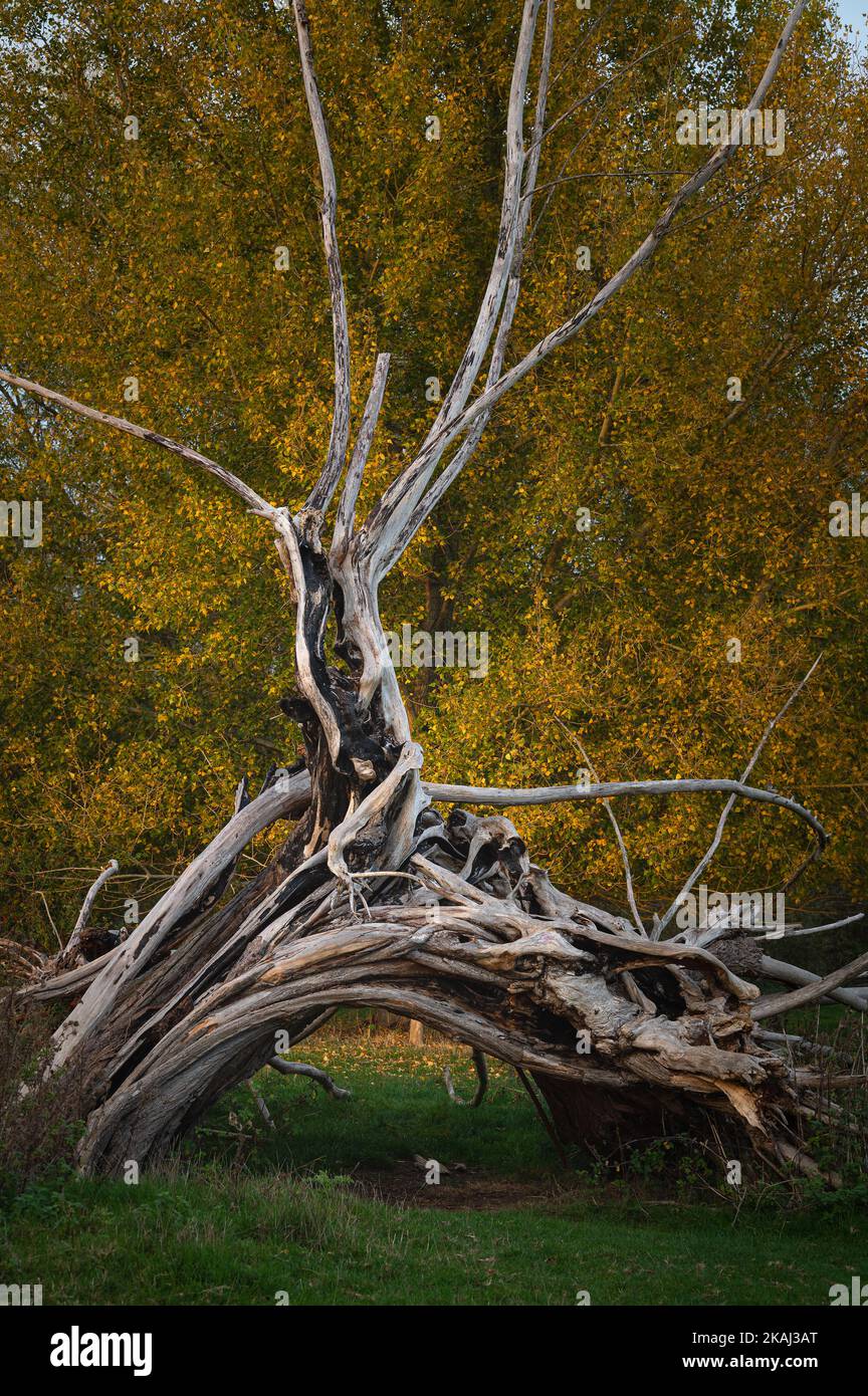 Beauty of Dedham Vale in Essex-Suffolk border. Area of outstanding ...