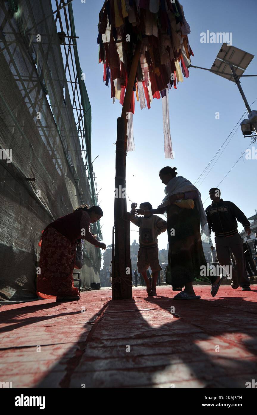 A Nepalese devotee offering rituals puja towards Bamboo after erecting ...