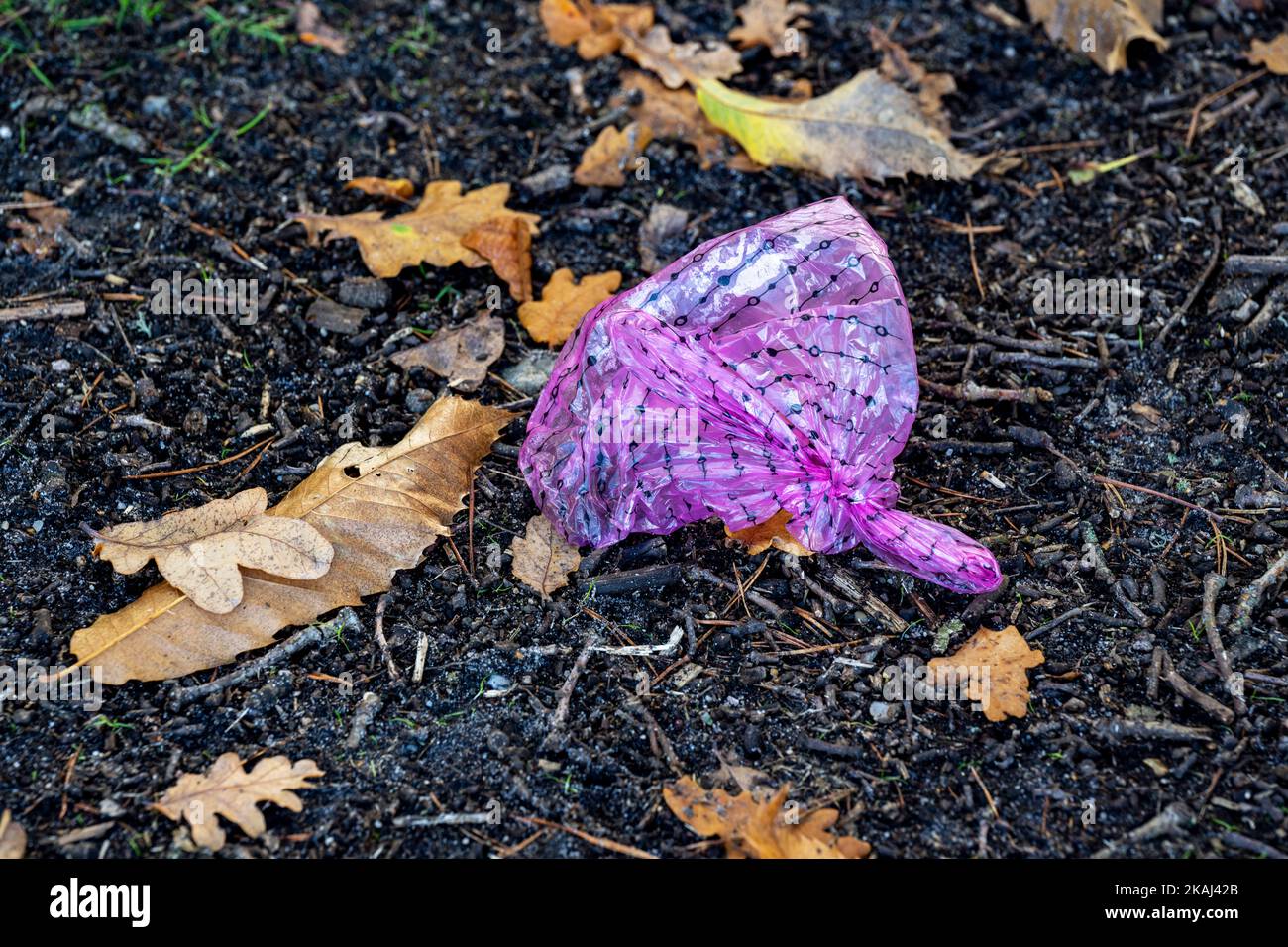 Plastic bag containing dog poo hi-res stock photography and images - Alamy