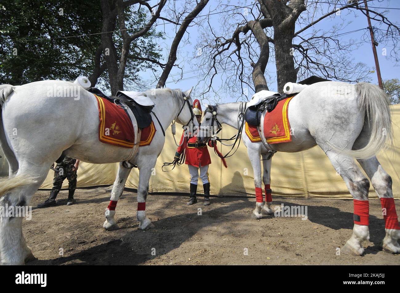 Nepalese Army's trained horses arrives for the annual parade of Ghode ...
