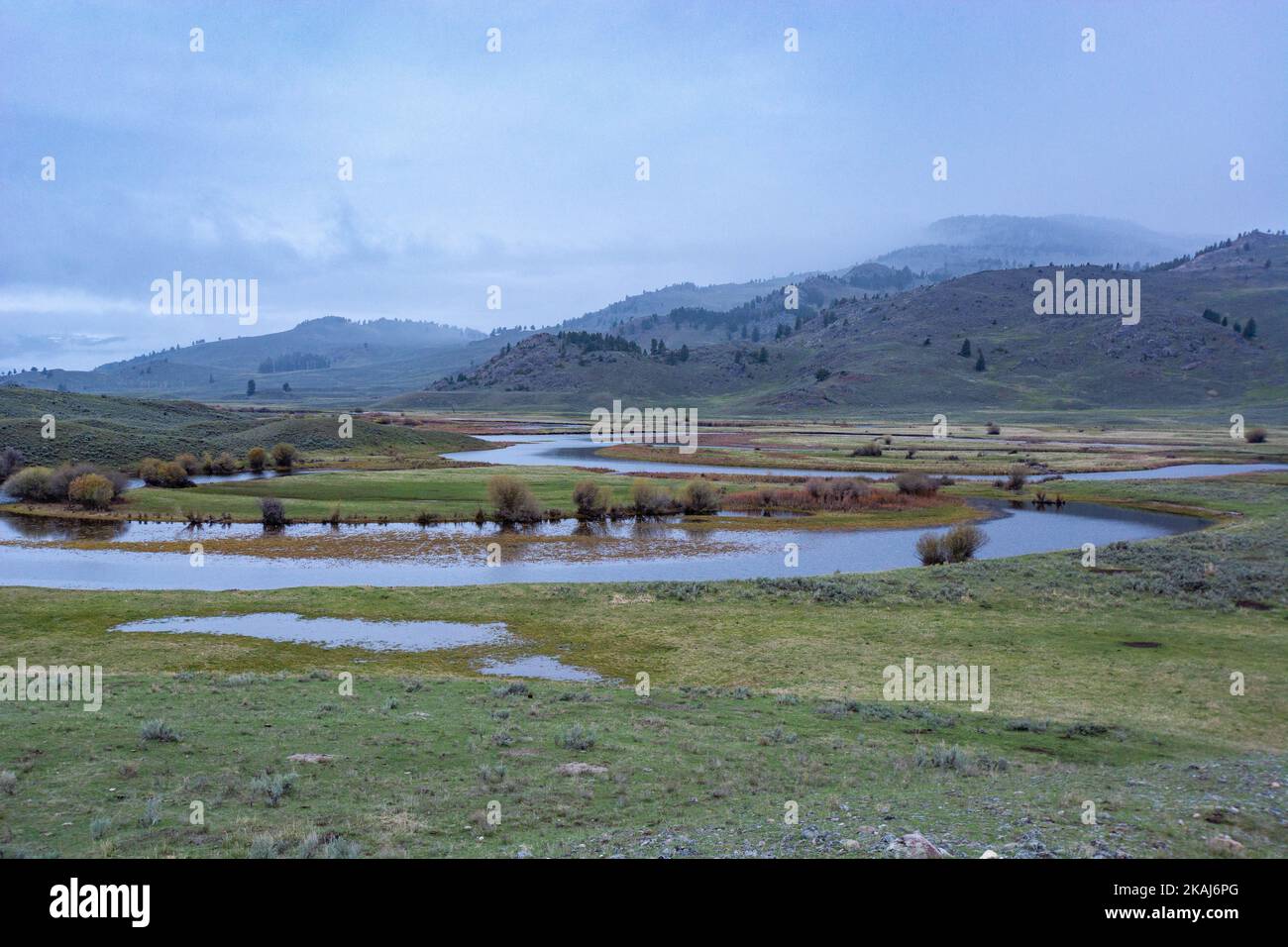 A shallow river winding through the greenery of the field with ...
