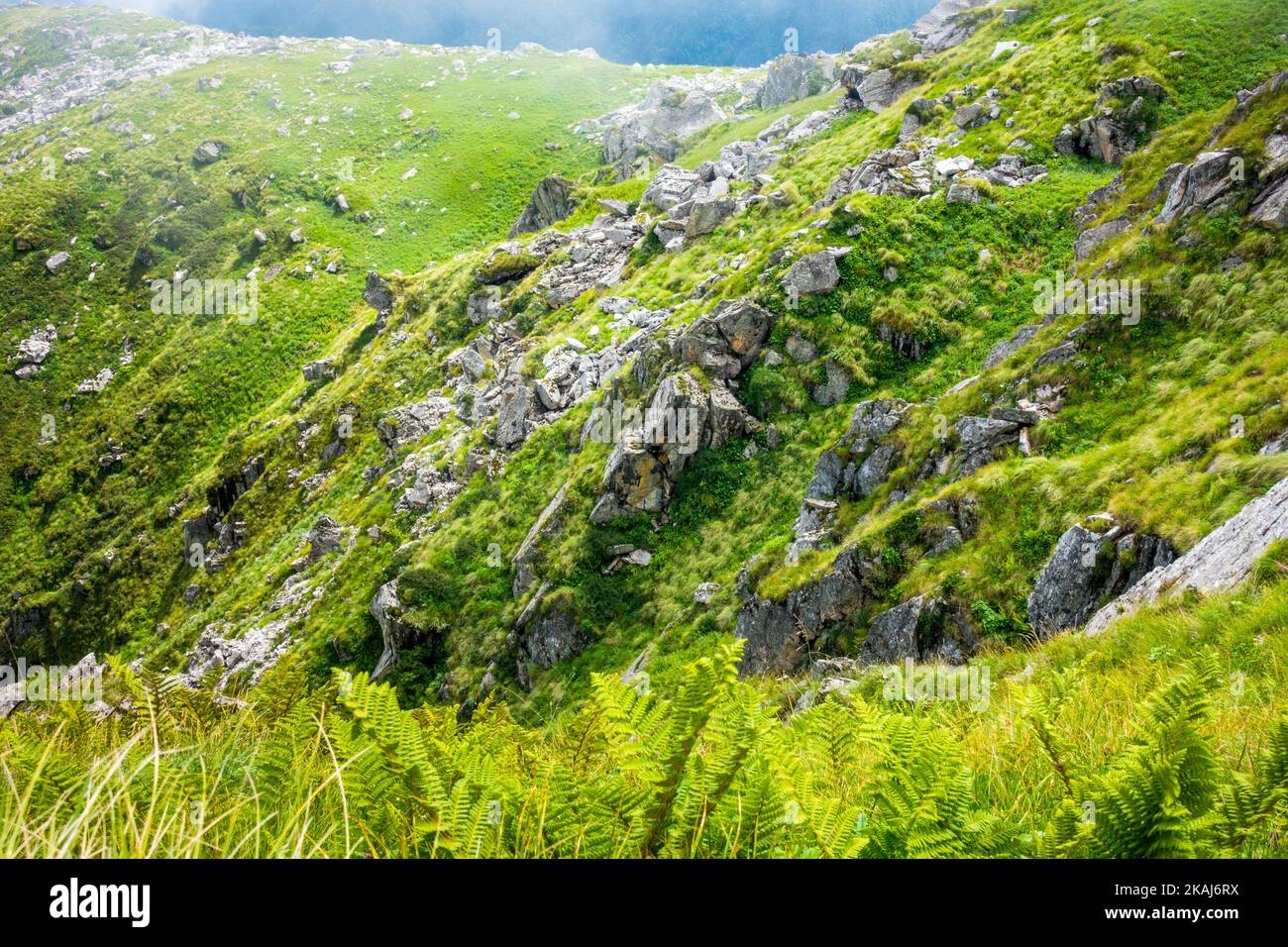 Rocky mountains with steep valley and green grass. Beautiful mountains ...