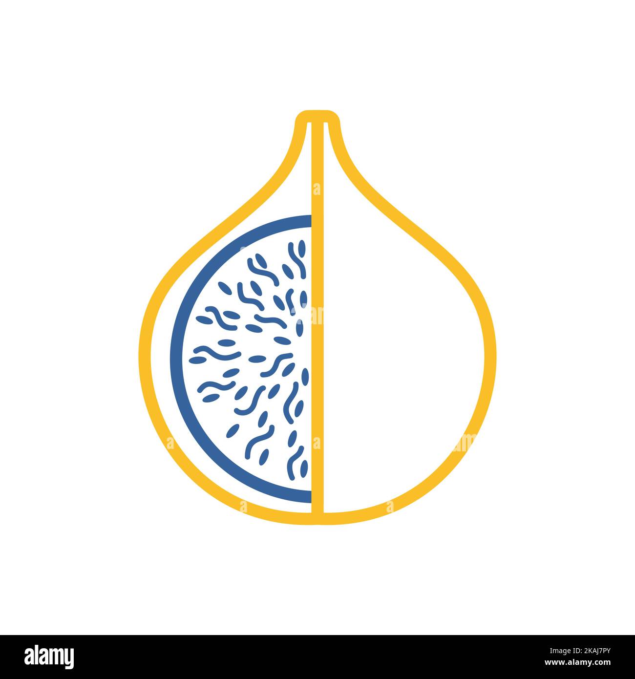 Fig tropical fruit vector icon. Graph symbol for food and drinks web ...