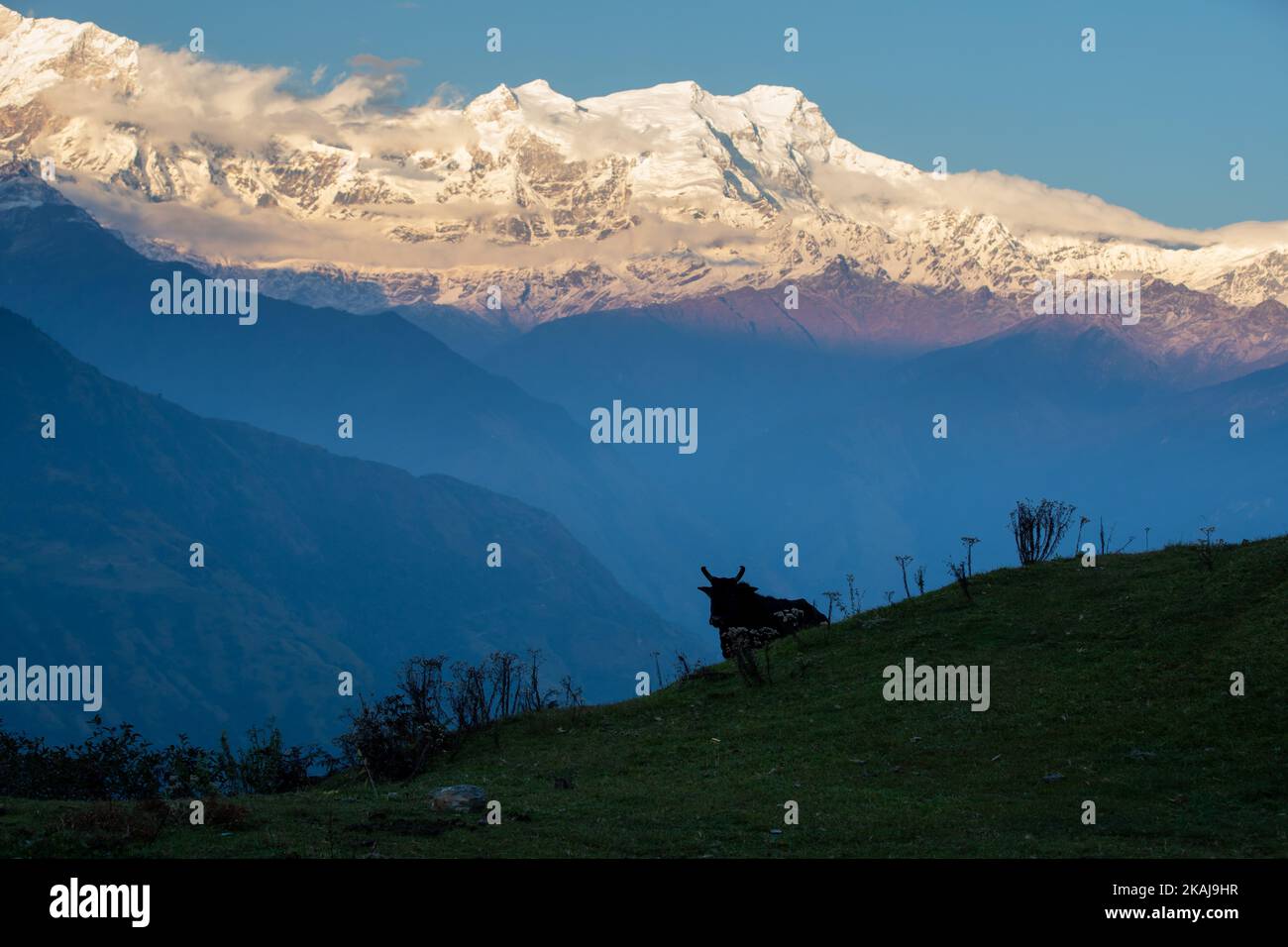 Beautiful Ghale Gau and Bhujung village of Nepal Stock Photo - Alamy