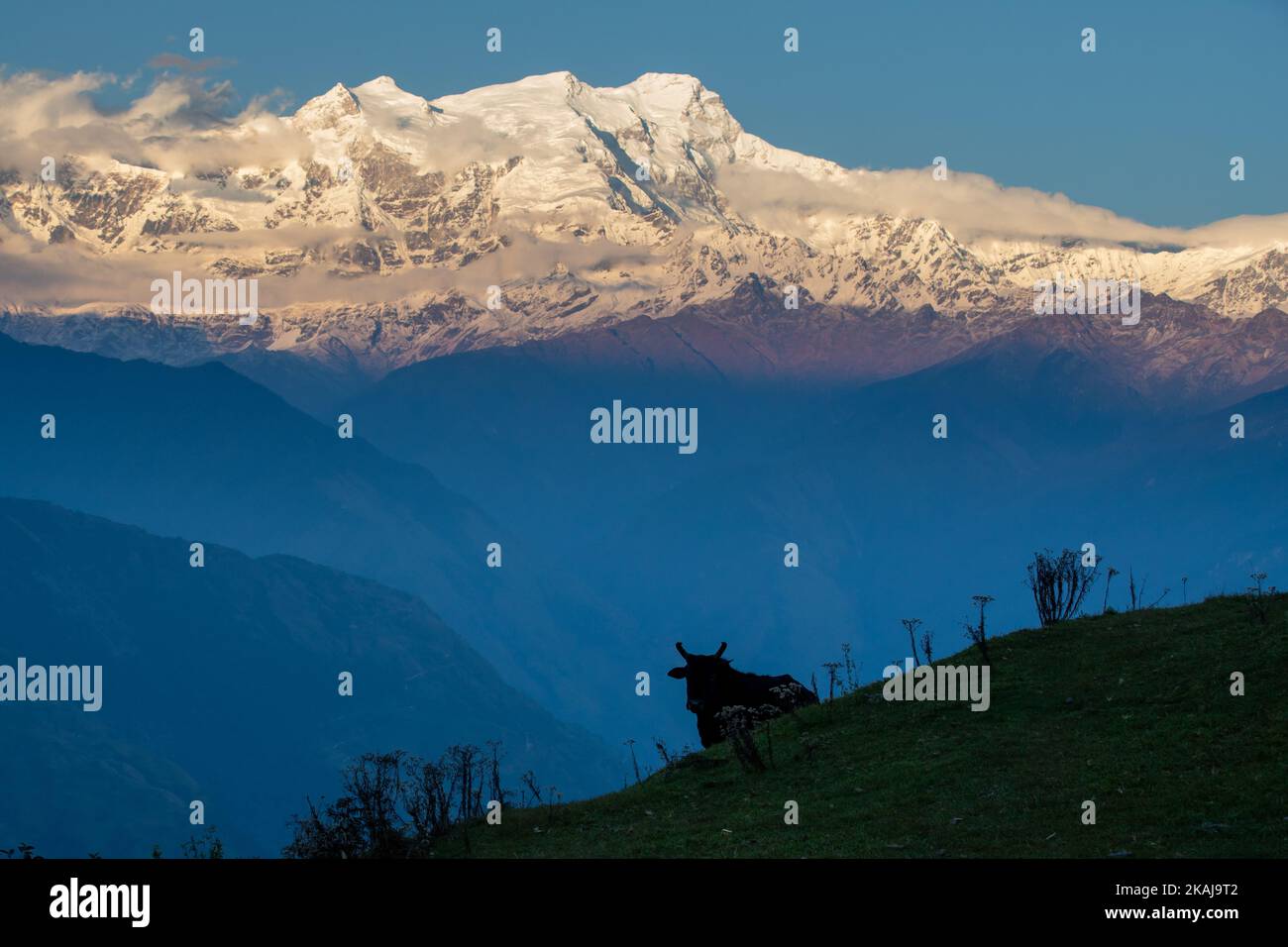 Beautiful Ghale Gau and Bhujung village of Nepal Stock Photo - Alamy