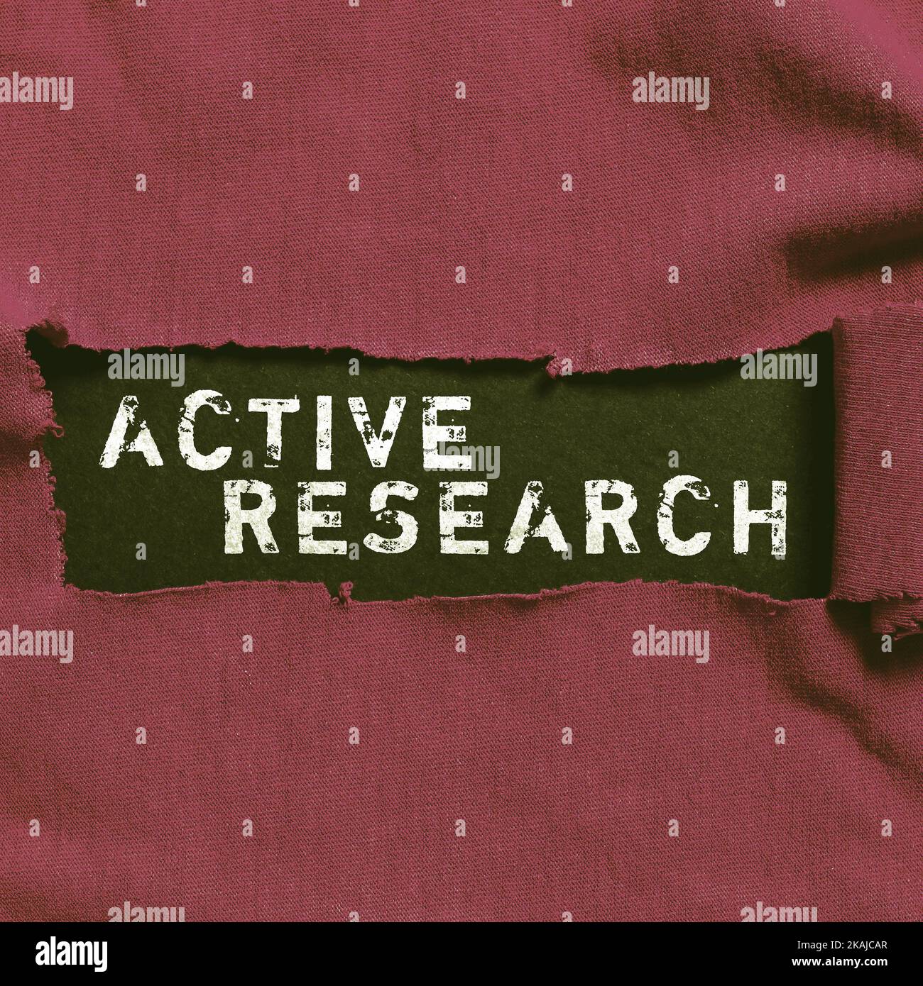 Text showing inspiration Active Research. Business approach an exam ...