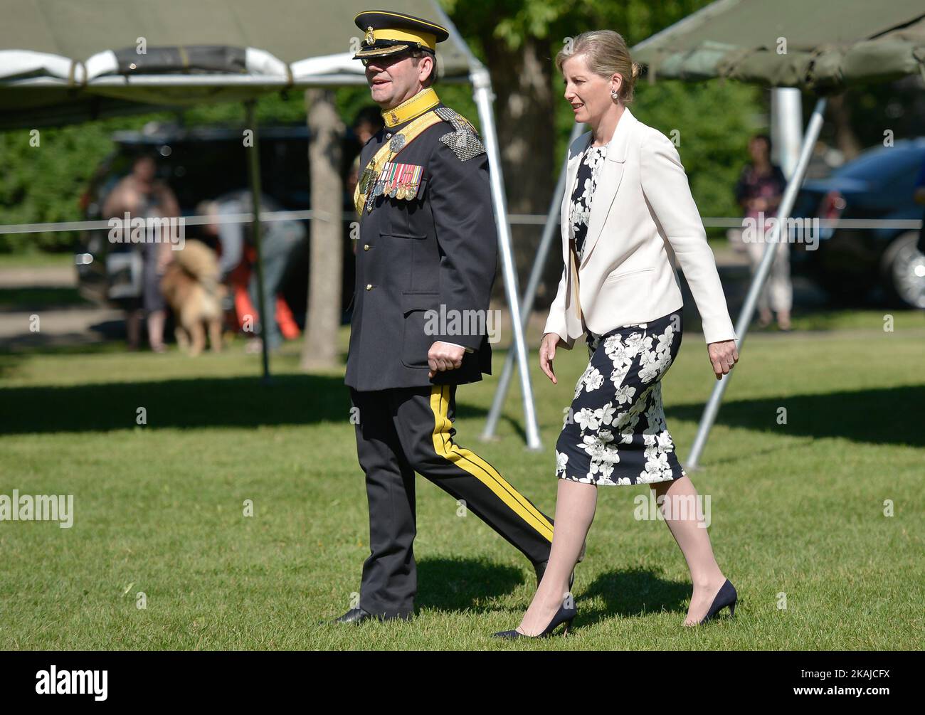 Ss colonel hi-res stock photography and images - Alamy