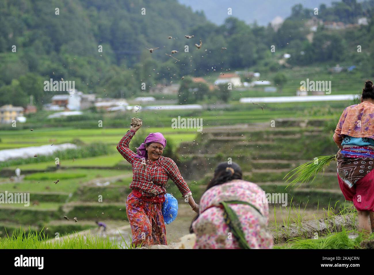 Farmer's play mud with each other during the celebration of National ...