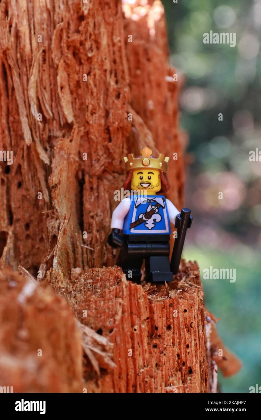 A toy male king-smiling character with brown hair holding a cane while ...