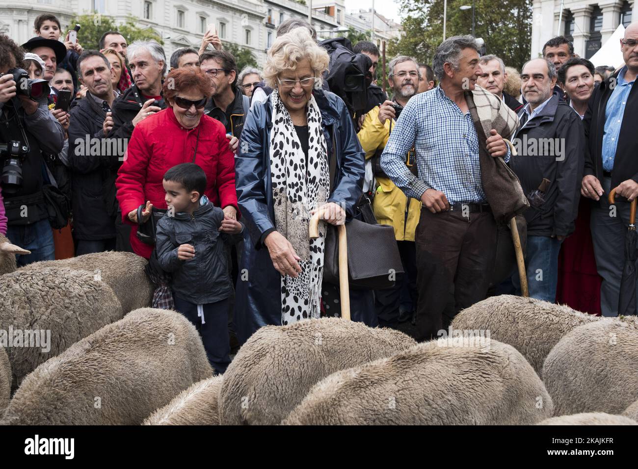 Fiesta de la transhumancia madrid hi-res stock photography and images ...