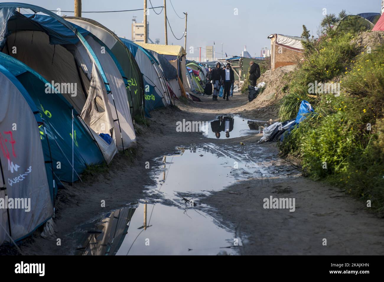 Water stagnates hi-res stock photography and images - Alamy