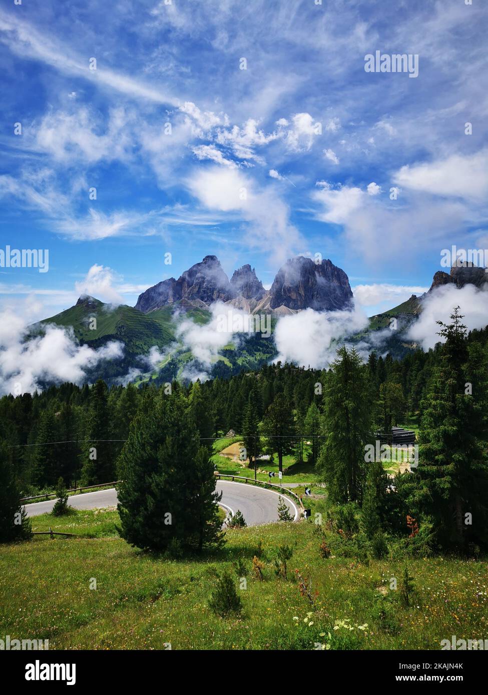 A vertical shot of an asphalt road line by evergreen trees and covered ...