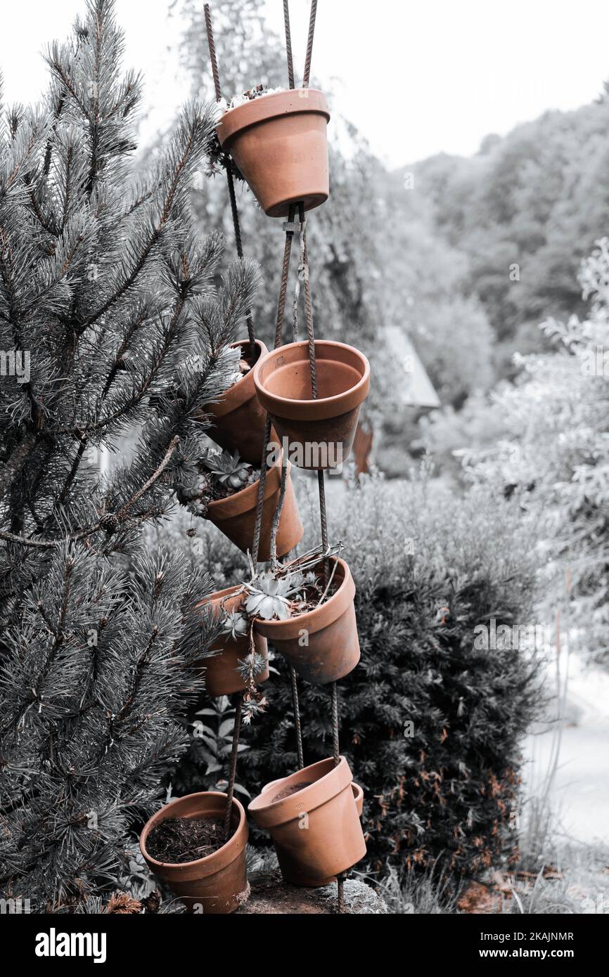A vertical shot of decorative pots on evergreen trees Stock Photo - Alamy