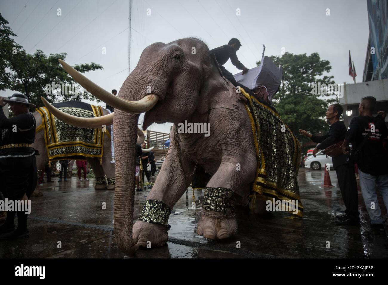 Royal Elephants and mahouts from Ayuthaya Province get dress at the ...