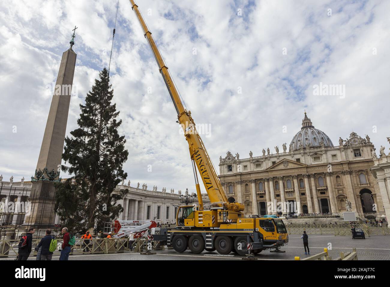 The Vatican Christmas tree, arriving from Trentino region, is lifted up ...