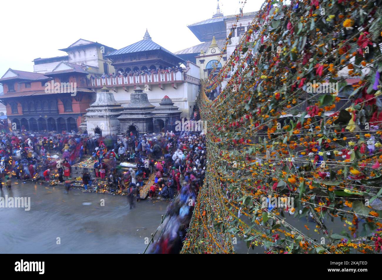 Nepalese devotees offering ritual prayer as tighten religious rope seen ...