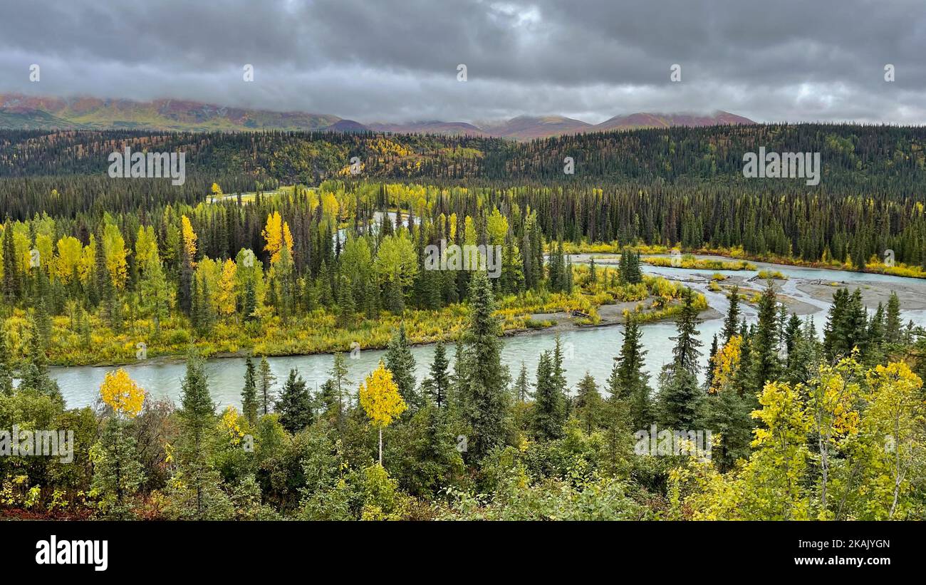 A wide shot of the Nenana River, Alaska, flowing among autumn-colored ...