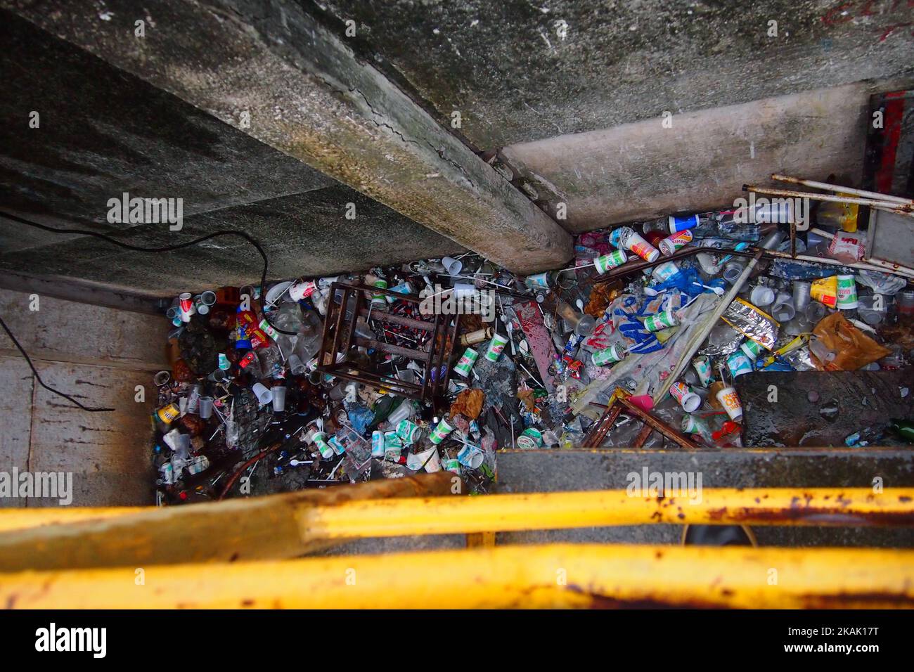 Mosquitoes water city park hi-res stock photography and images - Alamy