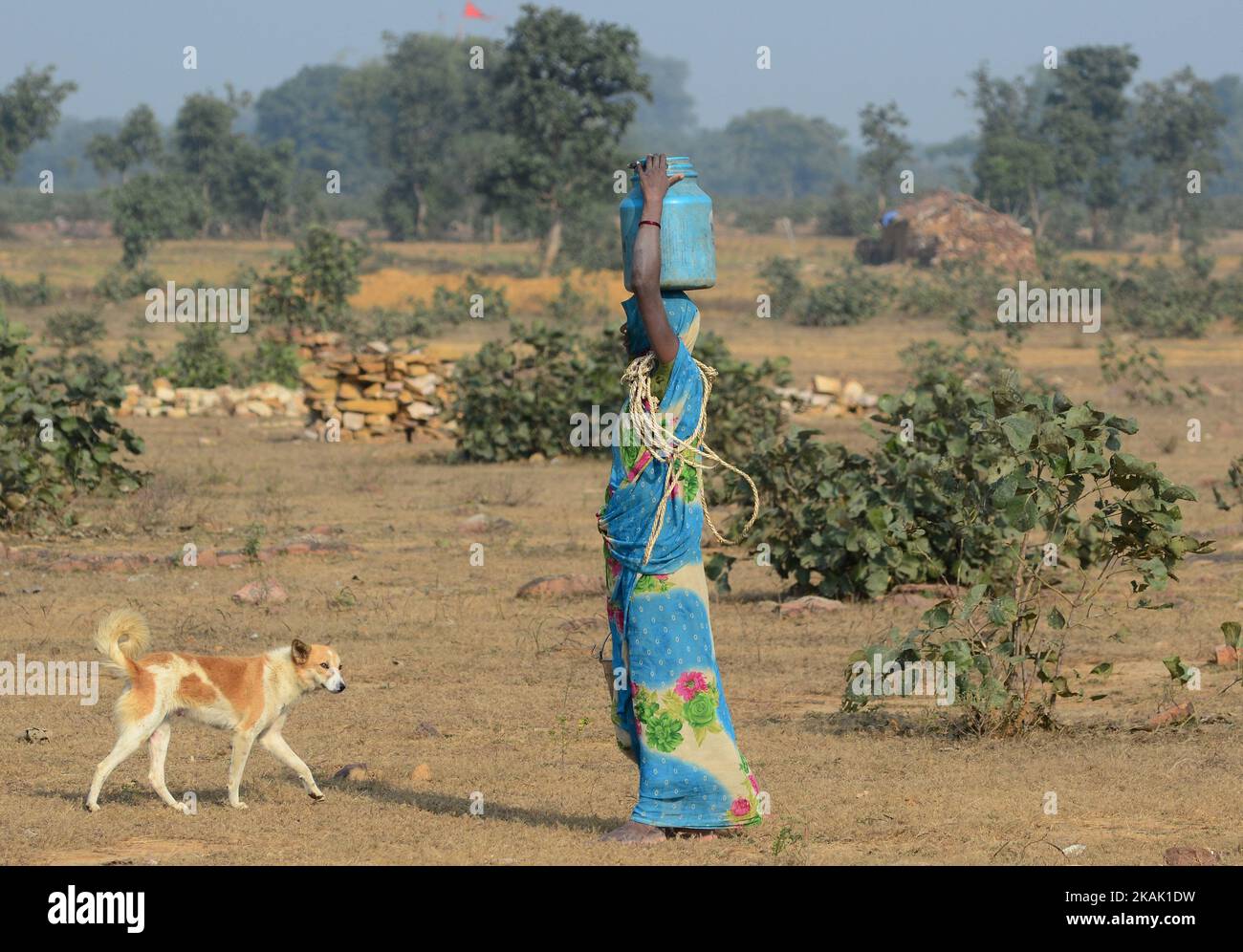 In this photograph taken on December 15,2016,An indian woman of an ...