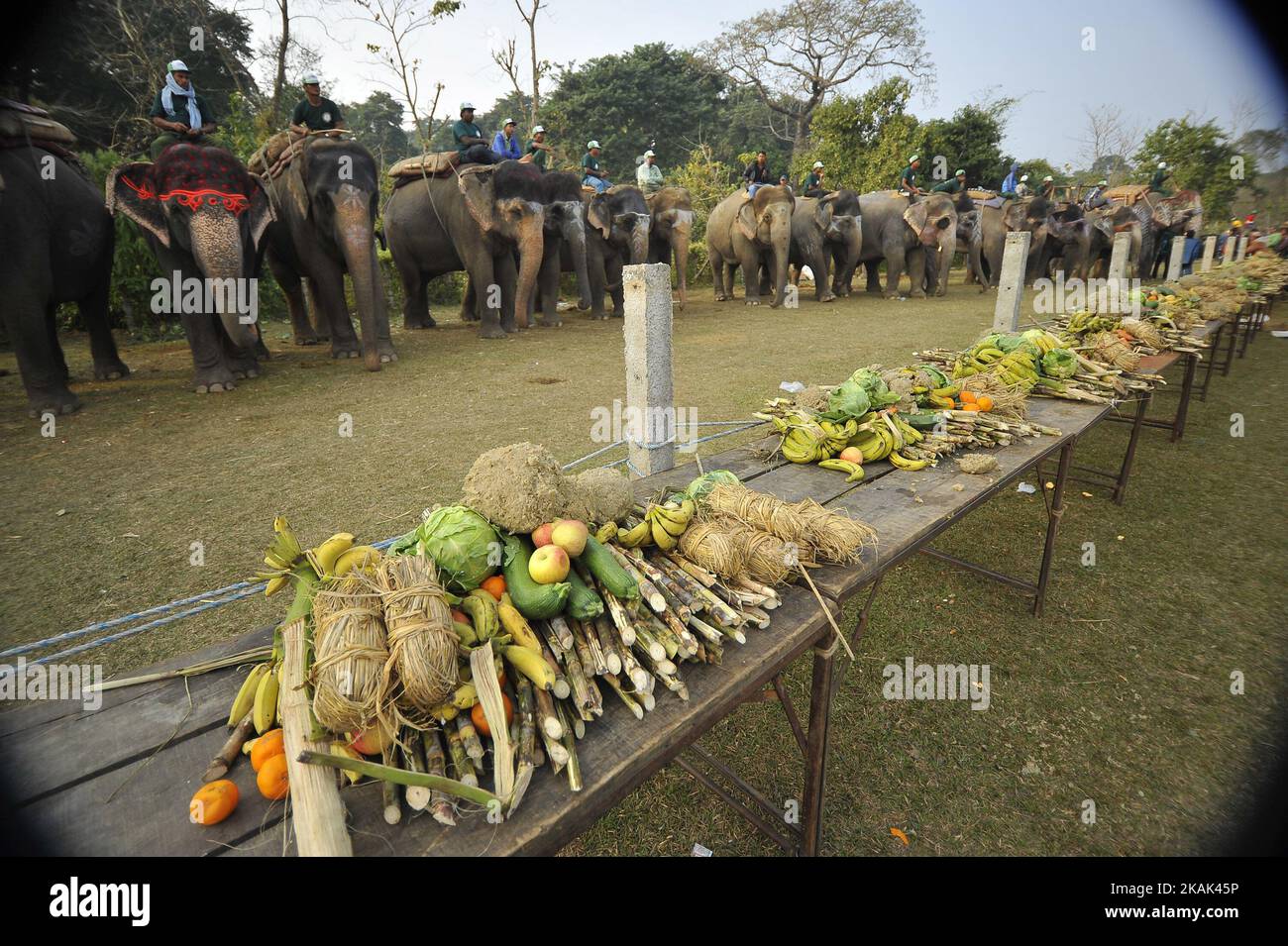 Elephants awaits to enjoy various types of fruits and Food during the ...