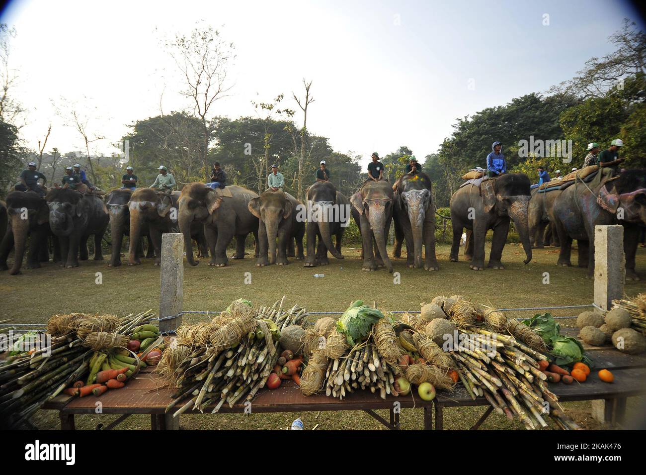Elephants awaits to enjoy various types of fruits and Food during the ...
