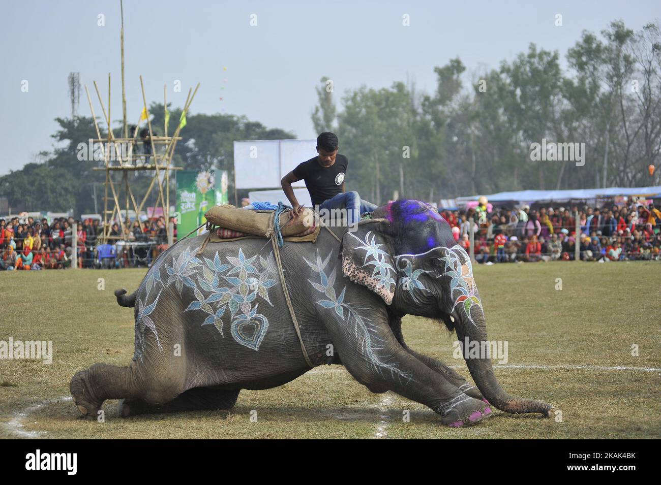 Alisa kali hi-res stock photography and images - Alamy
