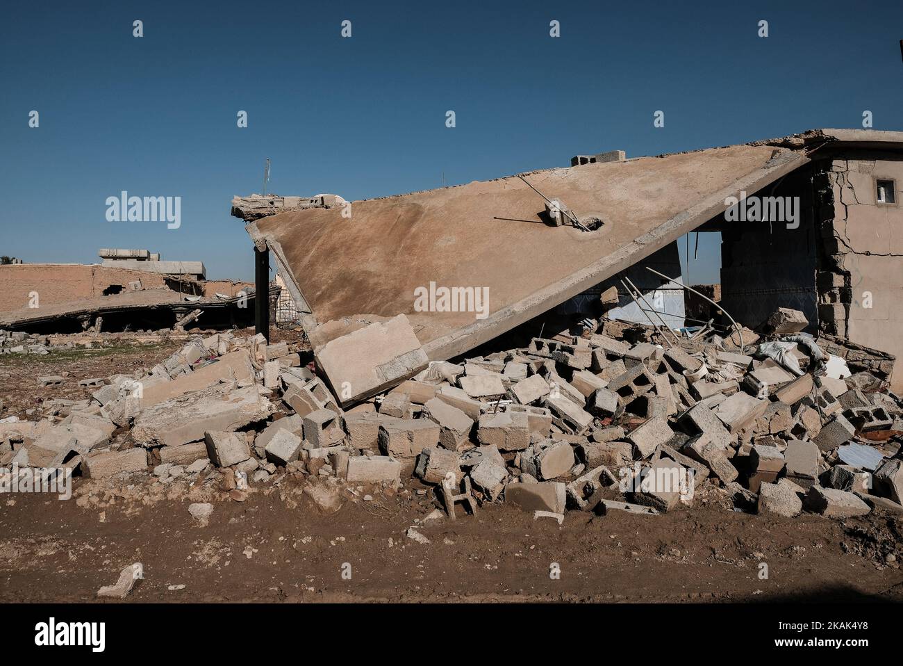 Kakais hi-res stock photography and images - Alamy