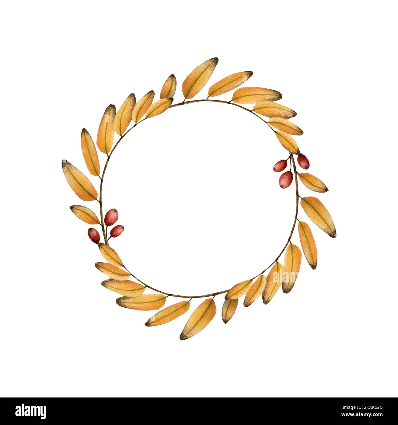 Circle of fallen leaves Cut Out Stock Images & Pictures - Alamy